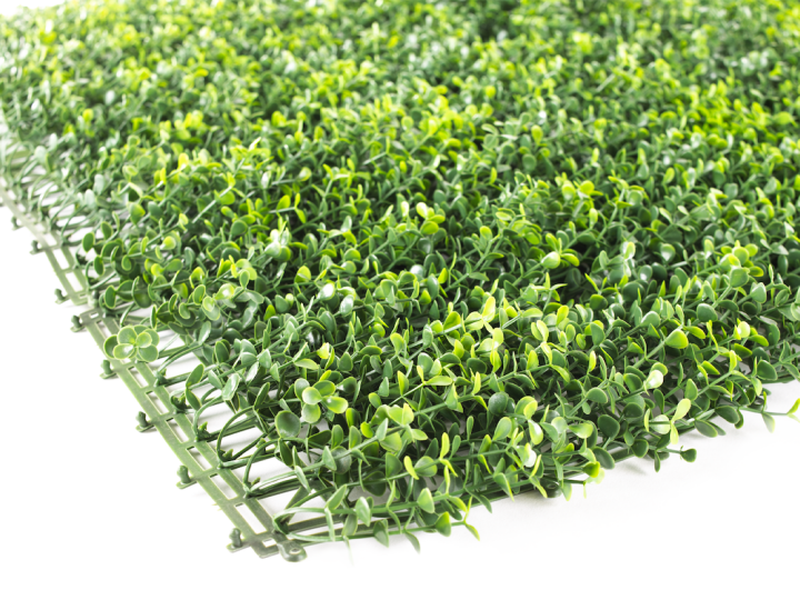 Umělý živý plot Buxus High zelený | Stěna 100 x 100 cm | Hawaj.cz